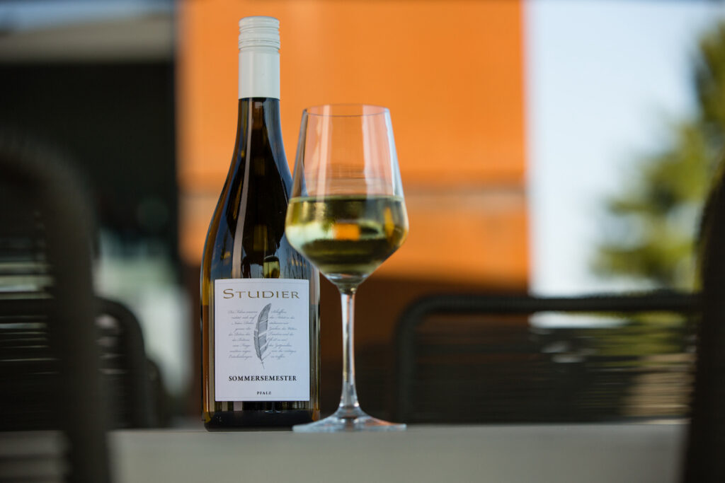 Startseite | WEINGUT STUDIER